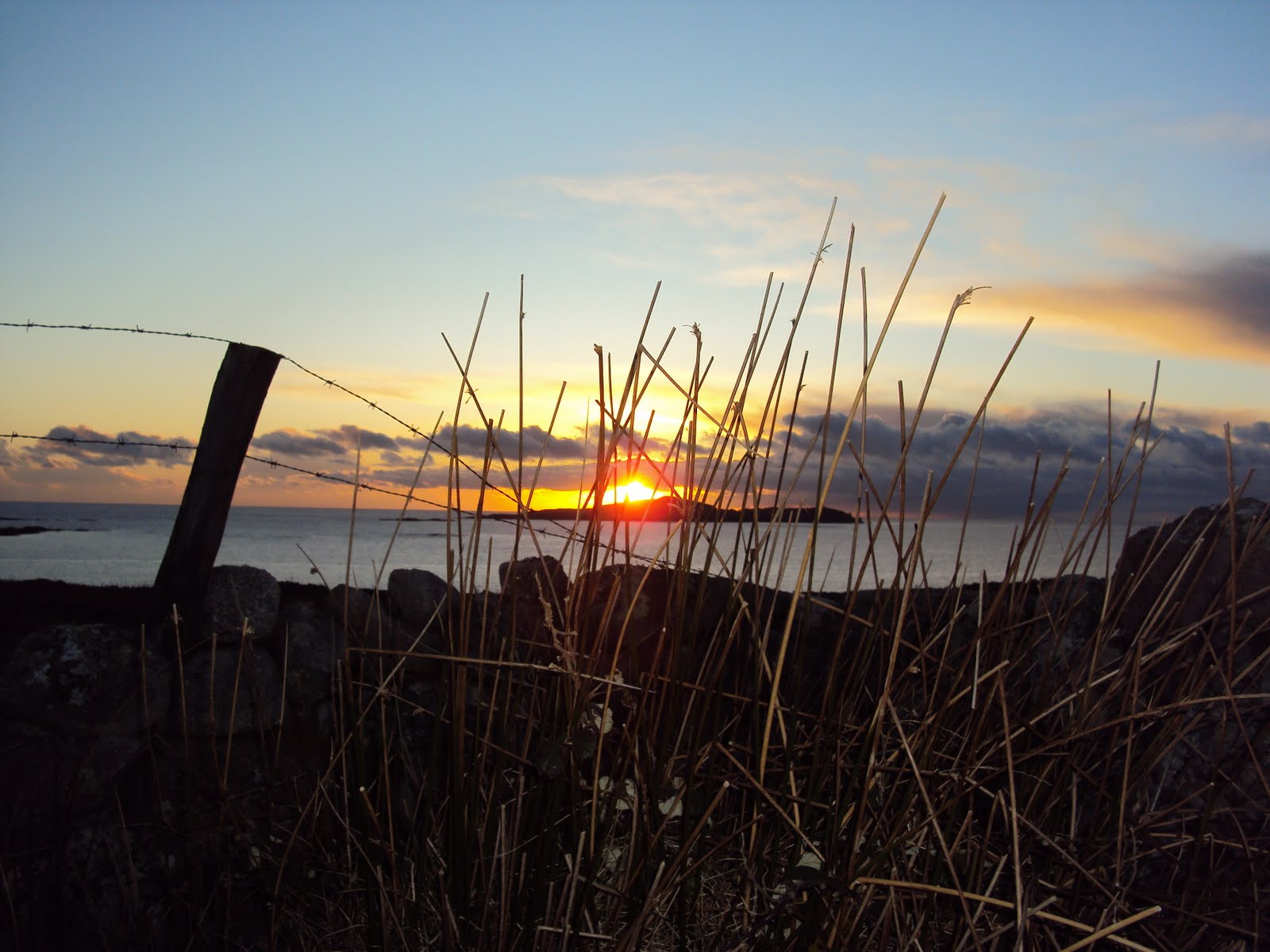 The Louth Raven: Dundalk Bay and Coast for sale