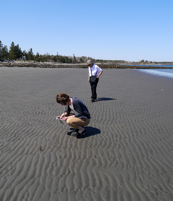 Sense and Simplicity