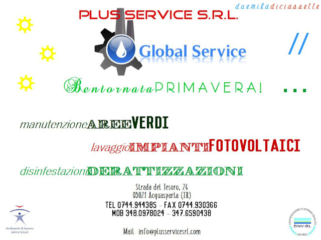 PLUS SERVICE SRL