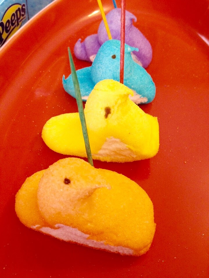 Fun with Peeps: Peeps Jousting! | The Jersey Momma