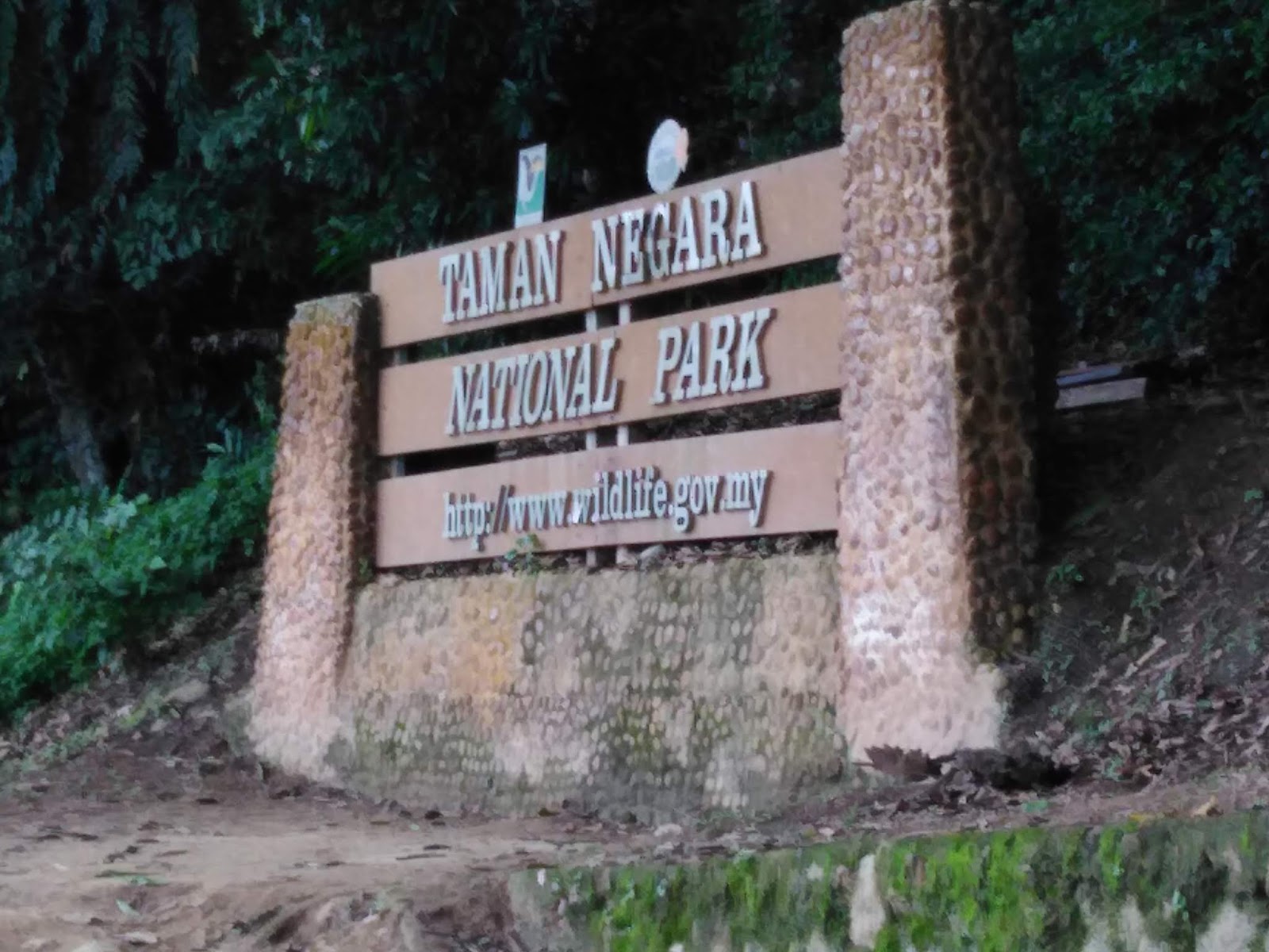 K M Cheng-Travel Journal: Malaysia (Taman Negara - National Park, Kuala ...