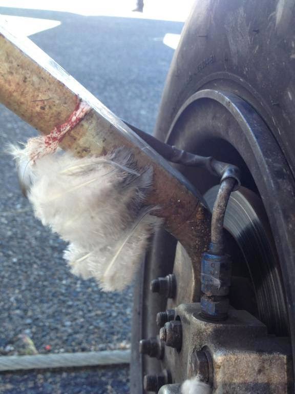 Central Queensland Plane Spotting: Graphic Photos of the Aftermath of a ...