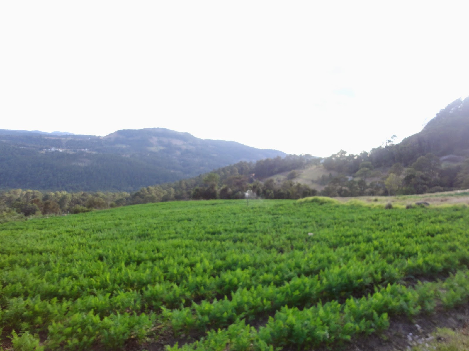 Maravillas de mi Honduras: Intibucá y La Esperanza