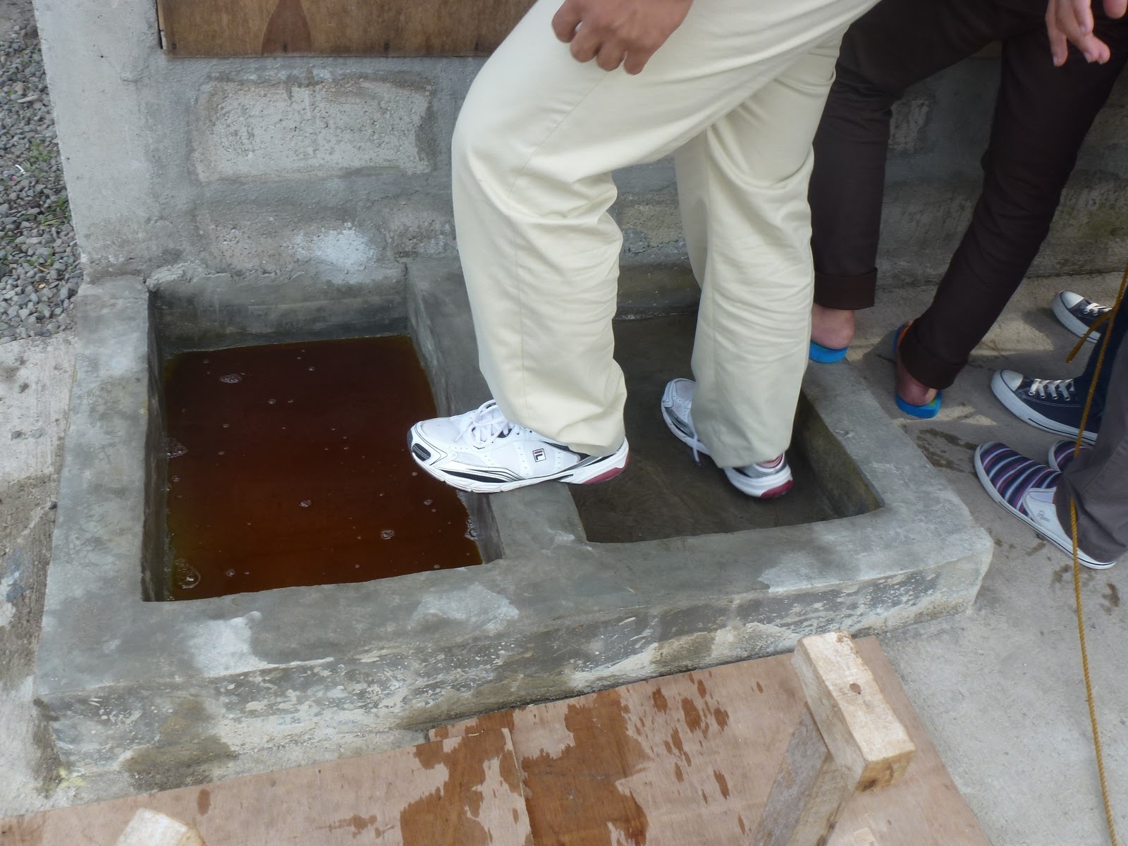 BOUNTY FRESH FREE-RANGE CHICKENS