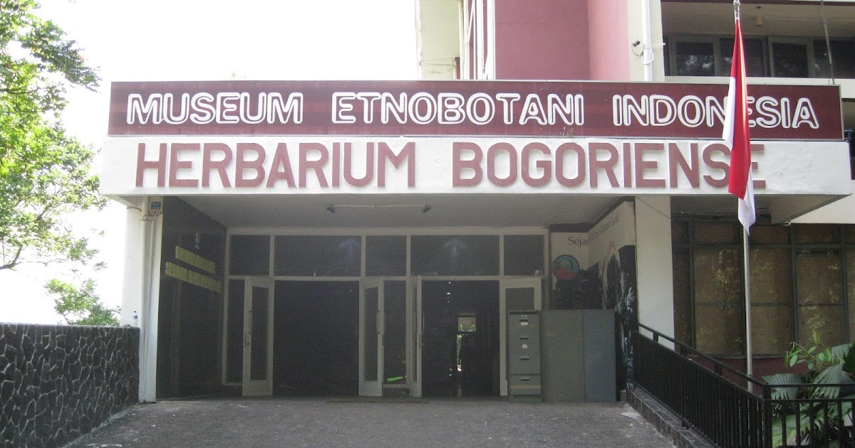 Letsgo2museum: Museum Etnobotani Indonesia (Herbarium Bogoriense)