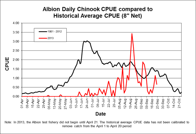Orca Watcher: September Whale Update