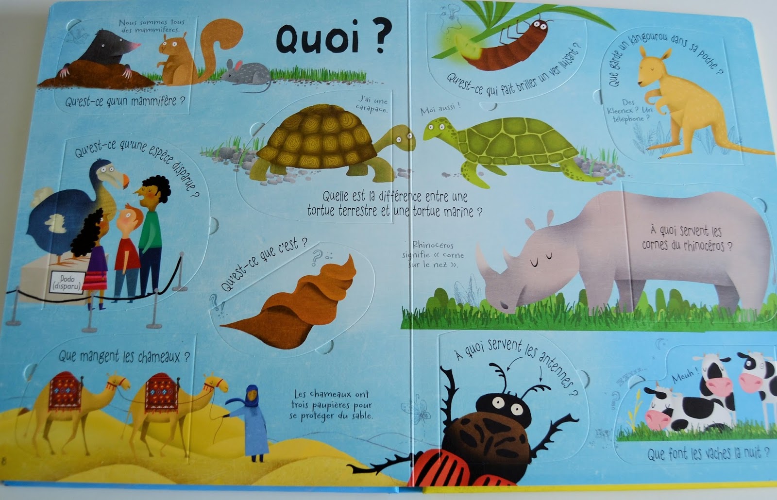 Les Mercredis de Julie: Mon livre des questions-réponses : Les animaux