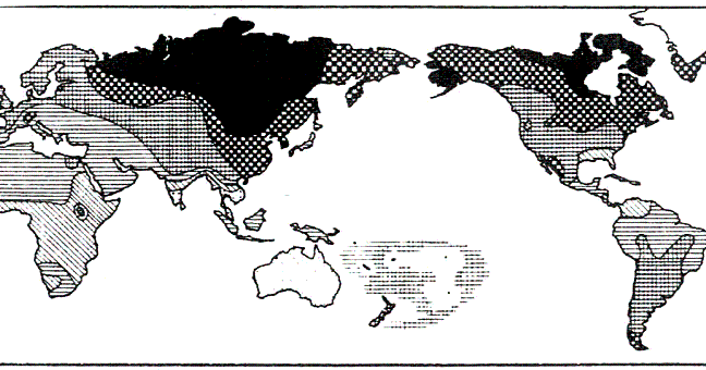 Map of the average human brain size for native populations