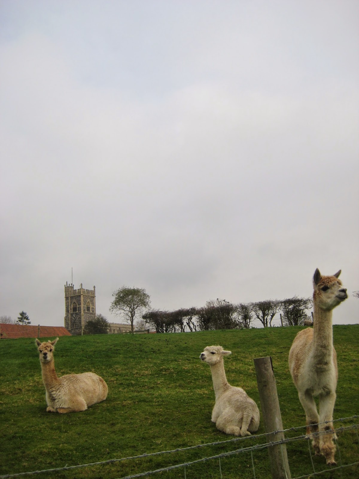 Tales of the March Hare: Hall Farm, Stratford St Mary, Dedham, Colchester