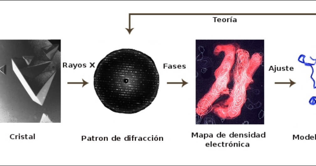 Cristalografía de Rayos X