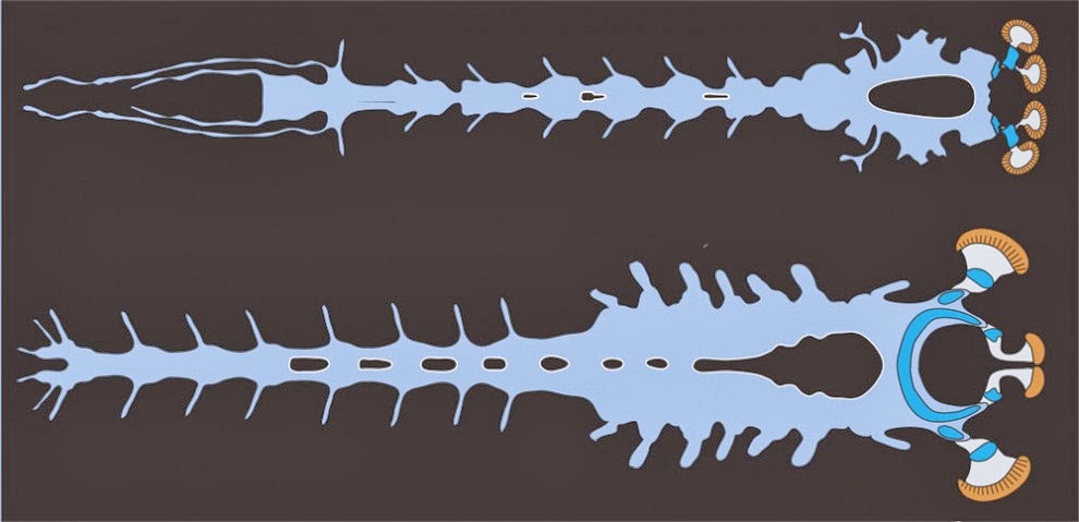 Palaeos, la historia de la Vida en la Tierra: Quiero saber más: El ...