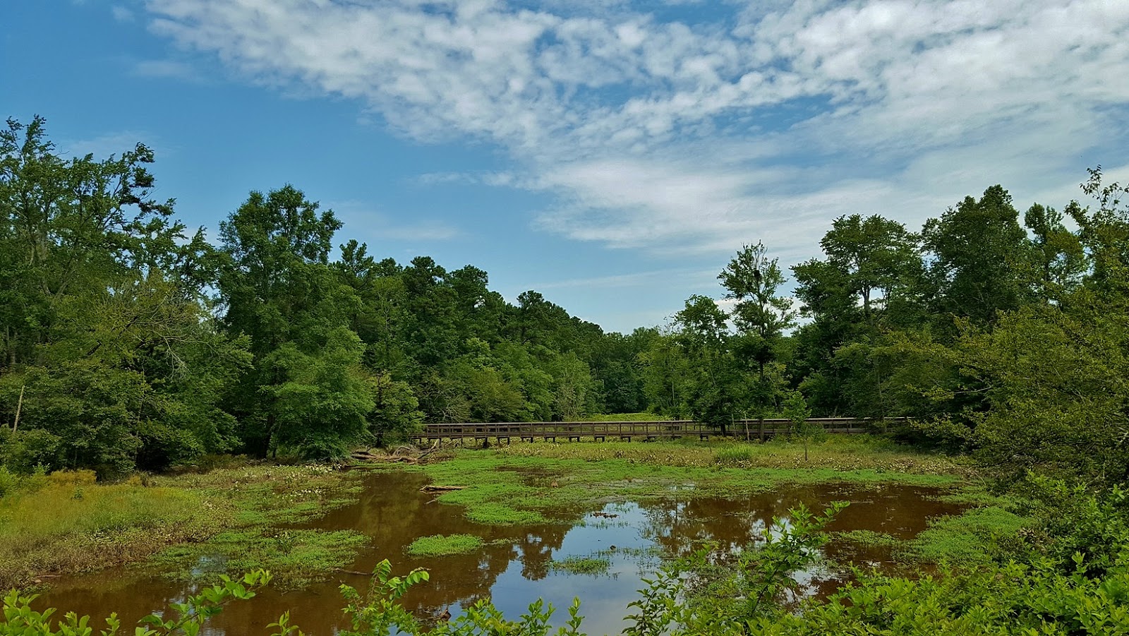 Waterfall Hero Hikes: Capital Area Greenway