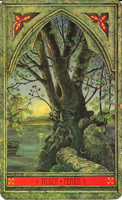 Rowan Tarot: Green Man Tree Oracle: Alder