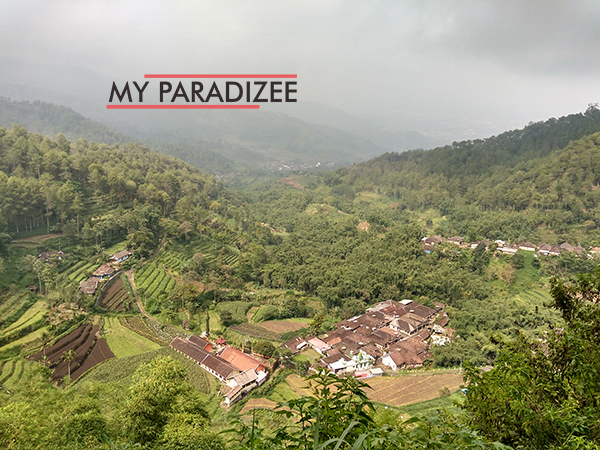 Goa Pinus: Wisata Baru di Kota Batu yang Masih Asri