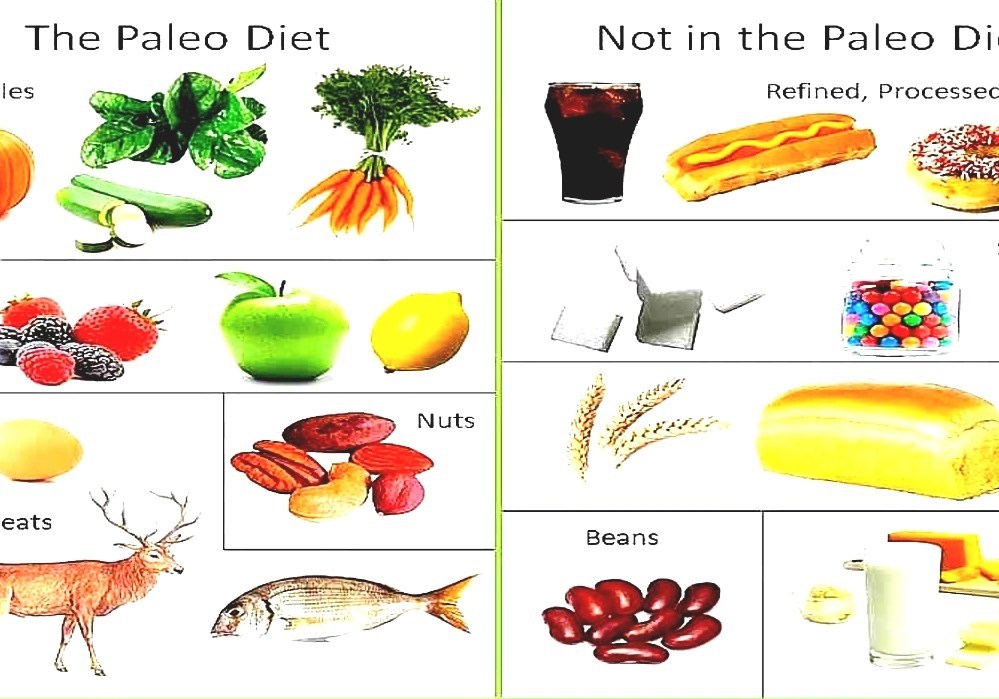 List Of Diets List Of Diet Programs list-of-diets-list-of-diet-programs