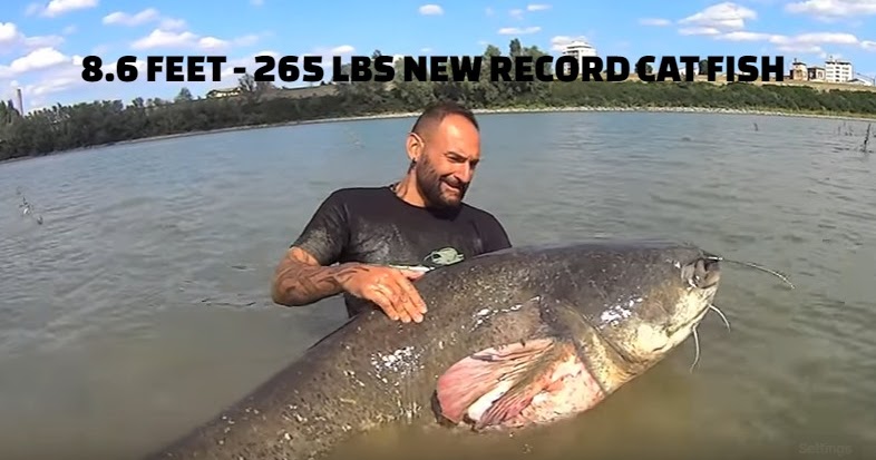 Mountain Mann Survival: 8.6 FEET - 265 LBS NEW RECORD CAT FISH