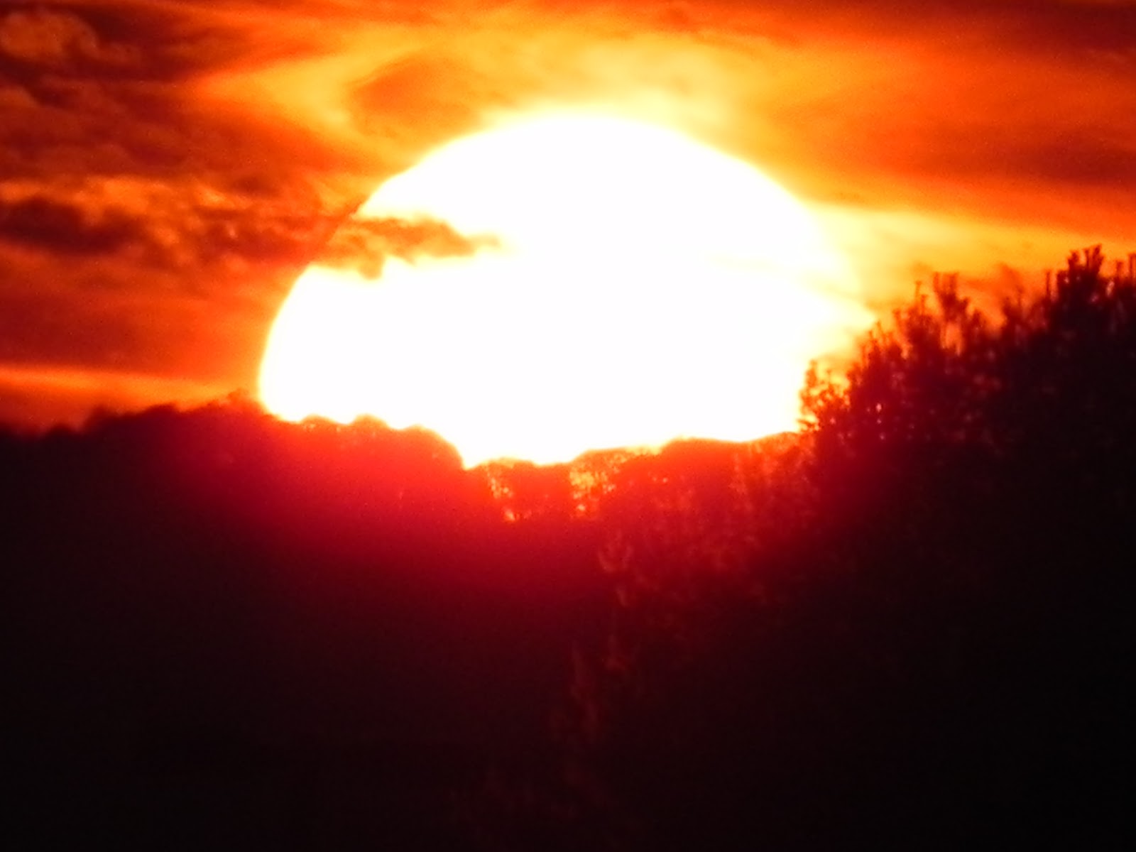 Let Your Light Shine: A Place In The Sun