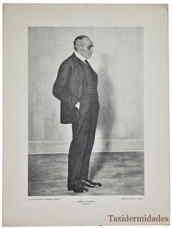 Carpeta de láminas en homenaje a Carl Akeley del Museo Field de Chicago ...