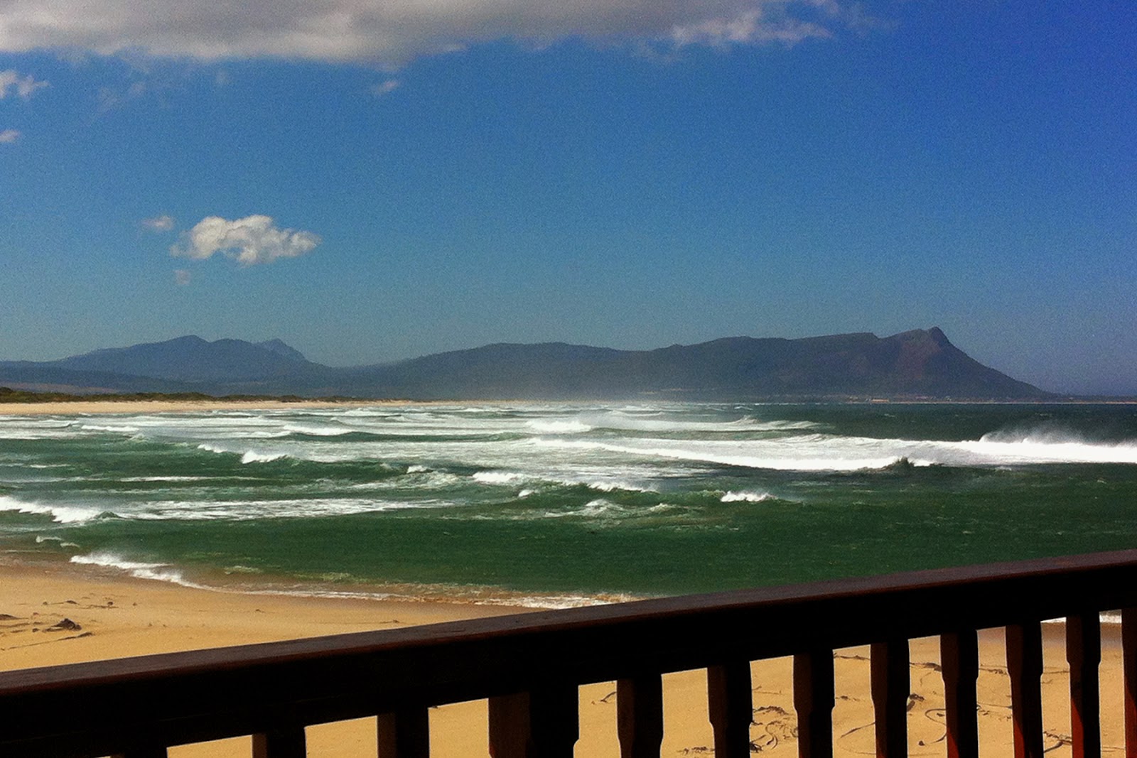 It's Where Things Happen.: Braai's and Penguin Love in Kleinmond, South ...