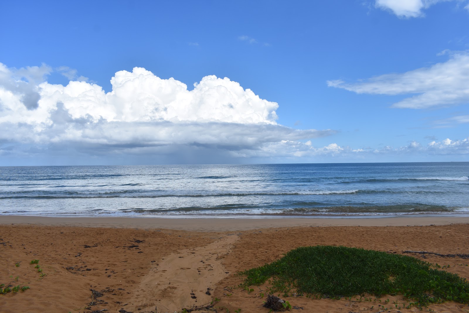 Playa la Pared en Luquillo