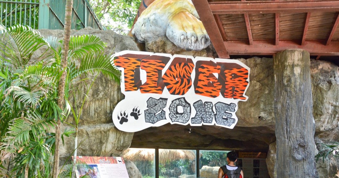 Entree Kibbles: Visit to the Tiger Zone in Super Hot Weather @ Dusit ...