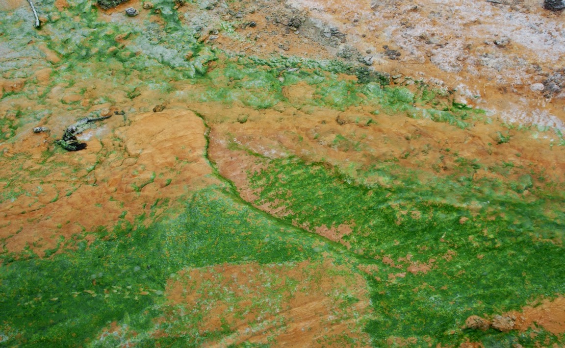A photo, A thought............: Place: Colored extremophiles of ...