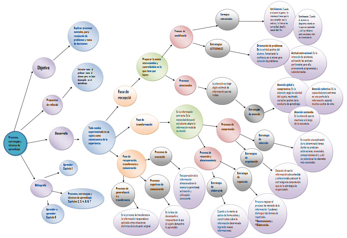 Conocimiento del Aprendizaje : Red semantica
