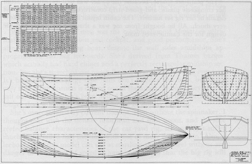A Barge in the Making: Considering Curvier Dogs