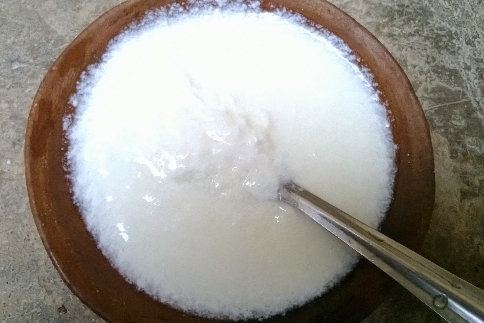 BananaLeaf Recipes: Homemade curd recipe / How to make curd or dahi or ...