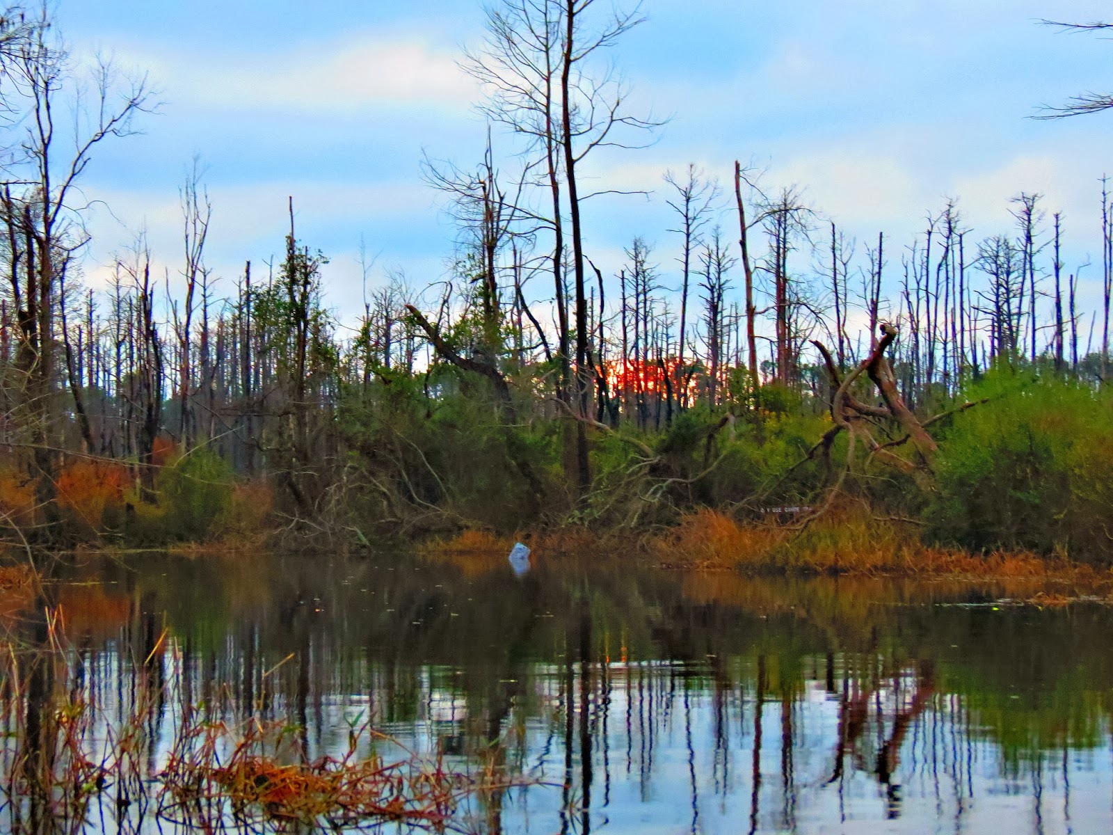 Adventures of a Vagabond Volunteer: Early Christmas Gifts from ...