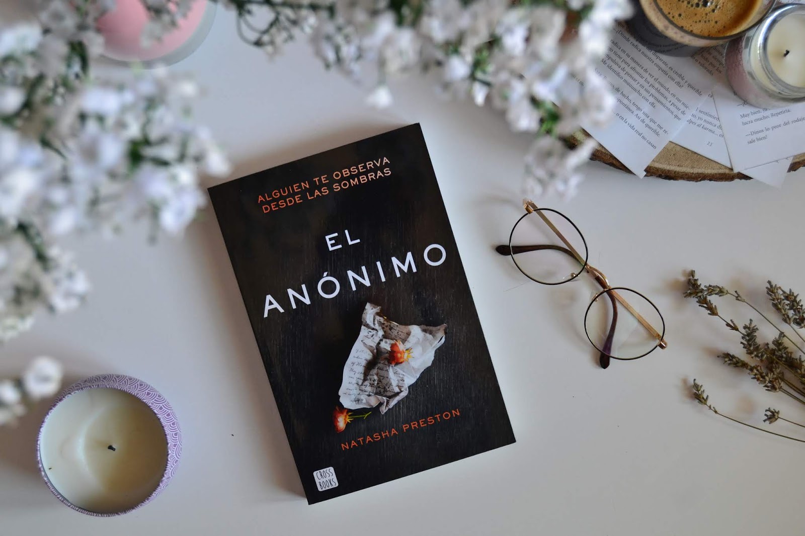 Reseña 179: El anónimo, de Natasha Preston - Mi rincón de lectura