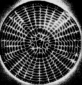no Gravity Zone: Cymatics, the study of wave phenomena