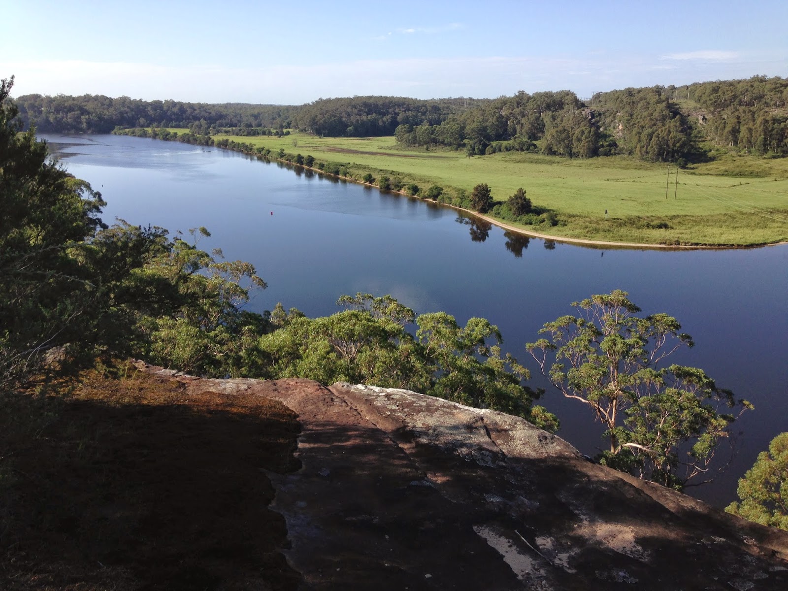 The Finneys Down Under: Animal Encounters in "The Grotto" - North Nowra