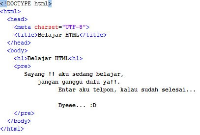 Preformatted Element ~ Alami Computer