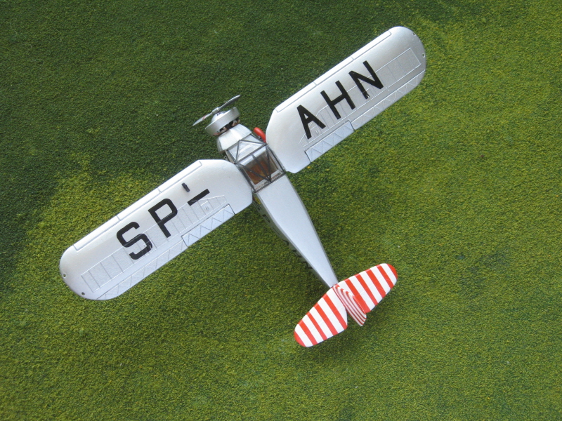 Wings of Intent: RWD-6 (ZTS "Plastyk" 1/72 scale) completed