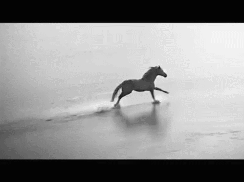 Pesadillas: gif de caballo
