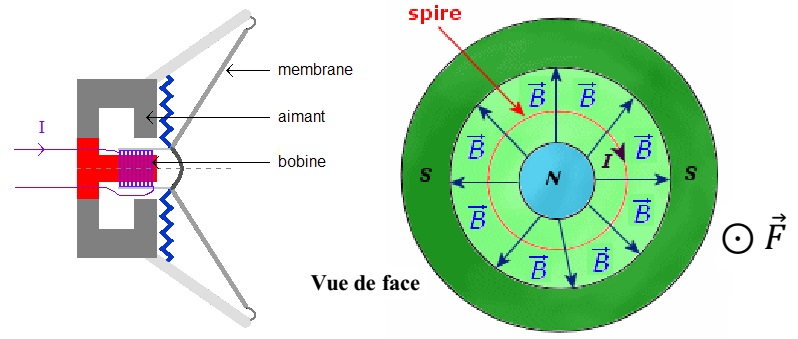 La force de Laplace-cours et exercices
