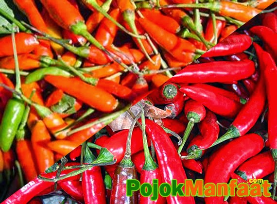 Manfaat Cabai Untuk Kesehatan Tubuh Manusia - Pojok Manfaat