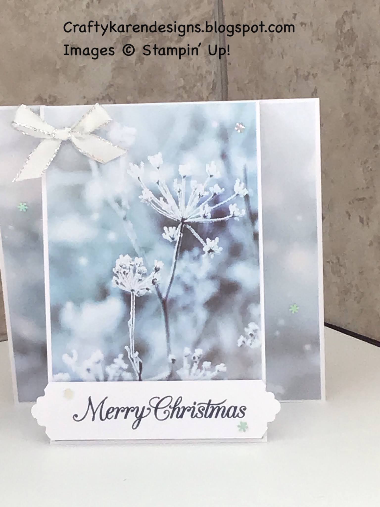 craftykarendesigns: Fun Fold Friday #39 - Feels Like Frost Centre Panel ...