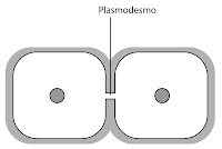 BIOLOGÍA 3º SECUNDARIA: Comunicación celular