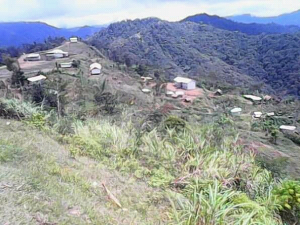 The Sunday Bulletin Features: Walking on foot to inspect schools in ...