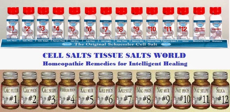 Cell Salts and Tissue Salts World: 2019
