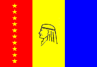 banderas locales (municipales y parroquiales) venezolanas: banderas ...