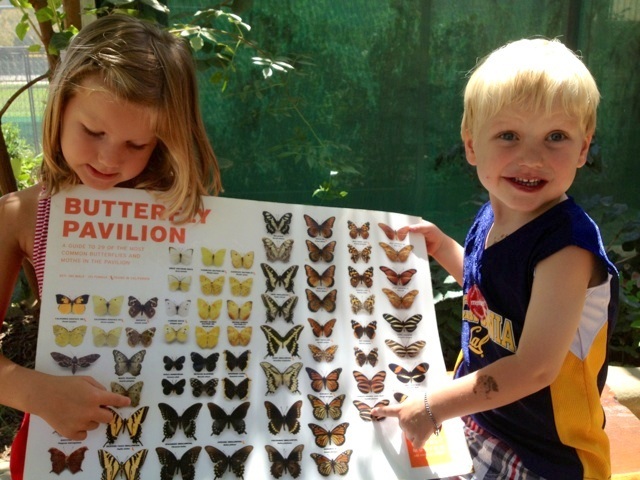 Hope for Baby Bennett: Same problem, different day.