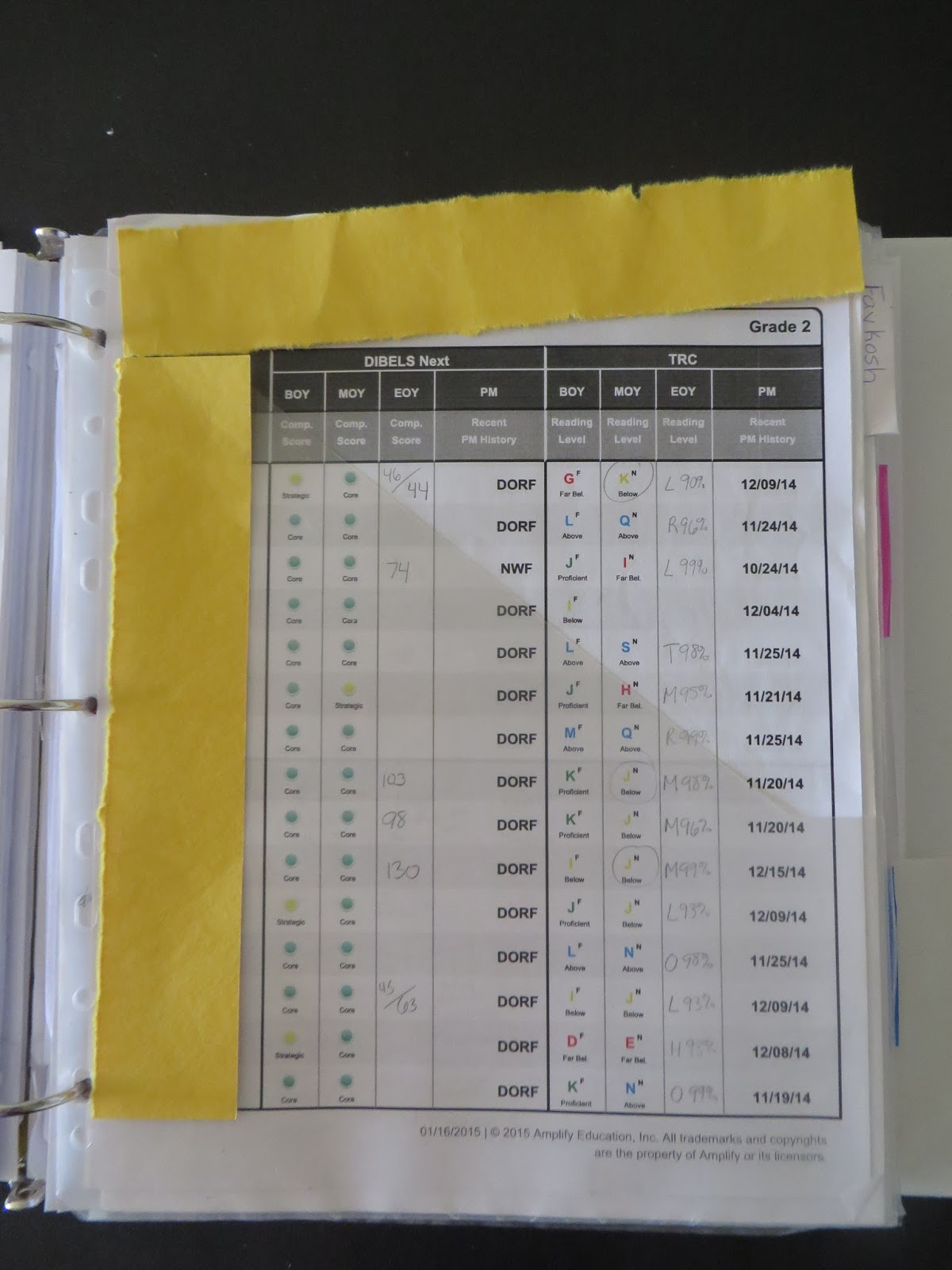 Mrs. Pirate Teacher: Guided Reading Notebook