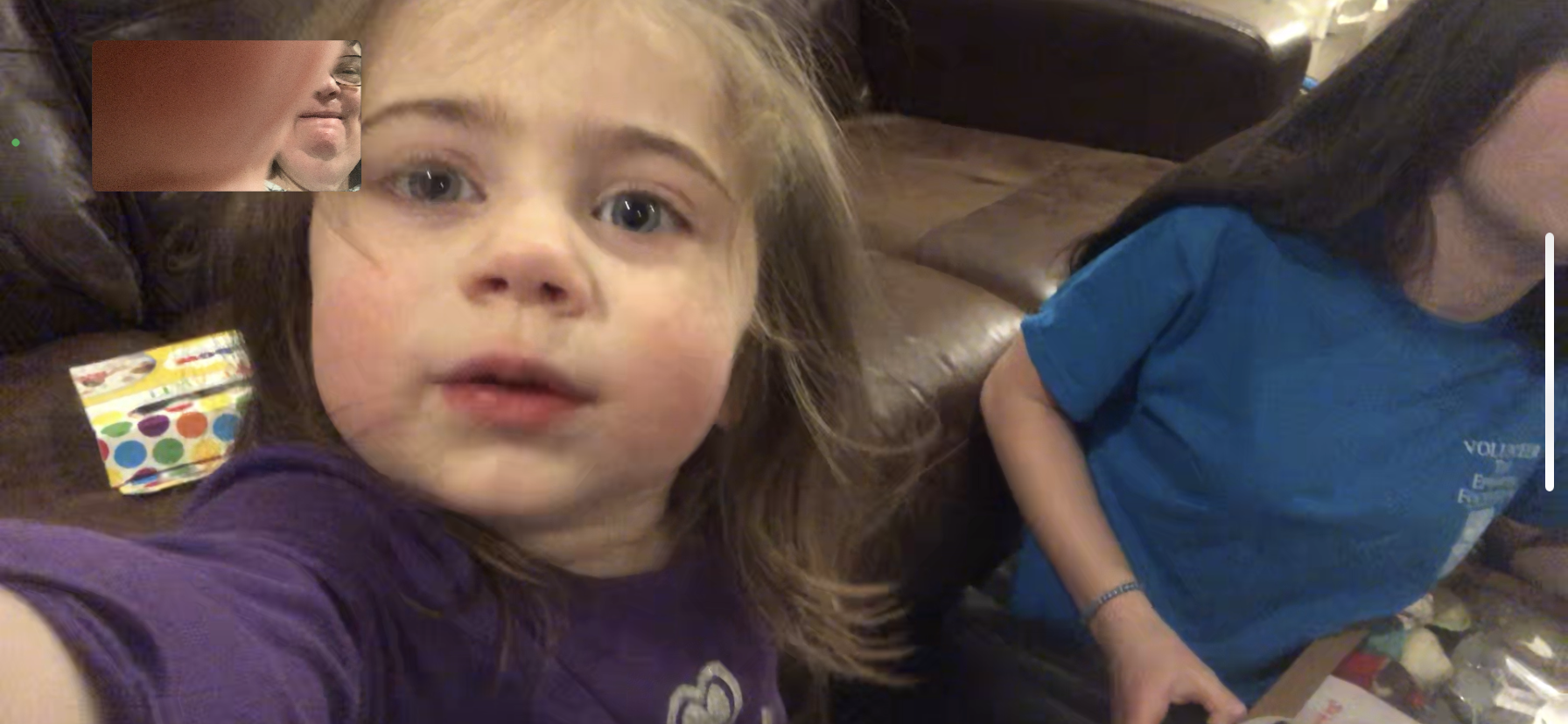 Hinton Happenings: Lissy's Facetime Birthday Party