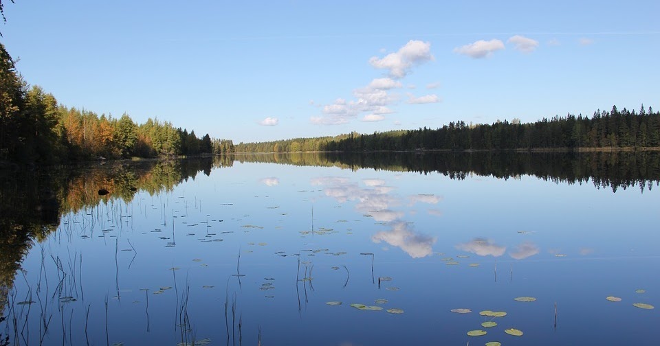 Hallatar : Puoli vuotta on jo mennyt!