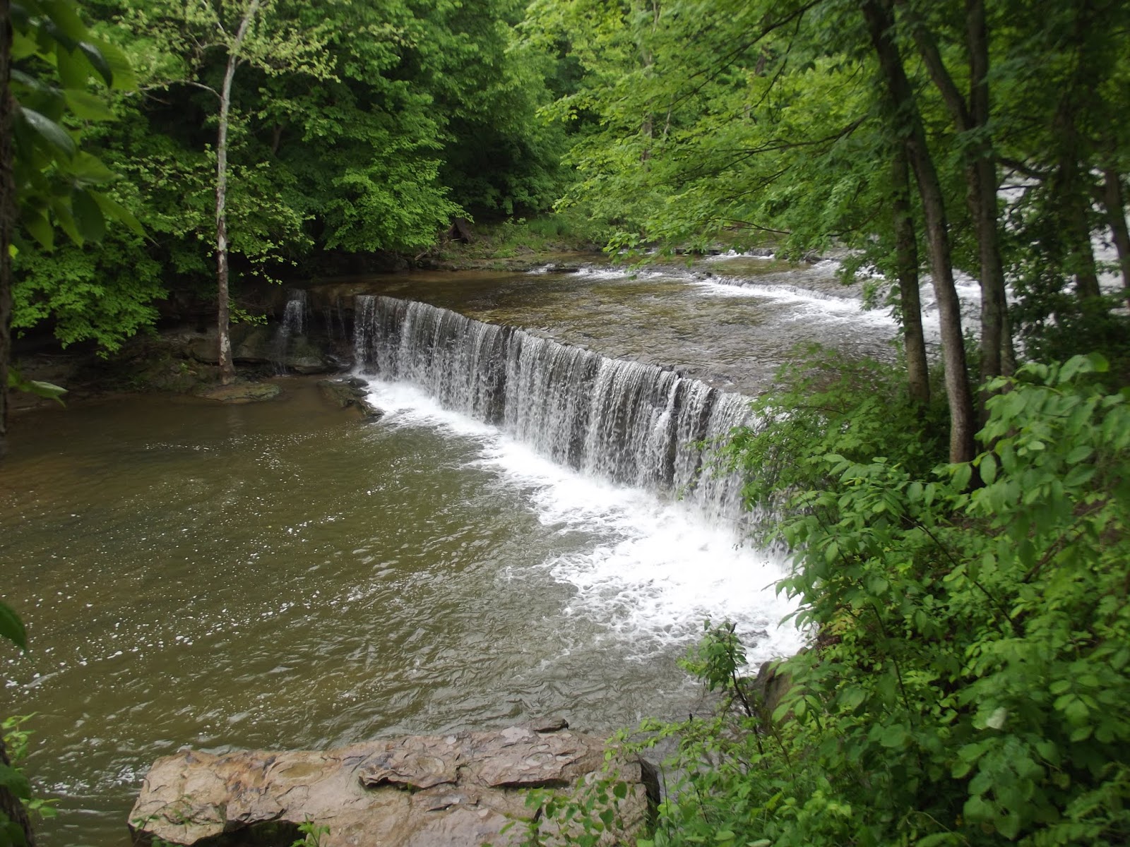 Mossy Feet Books: Photo of the Day - Anderson Falls