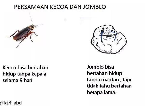 mengapa harus takut kecoa? - Elinotes review