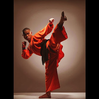 Art of Fighting: A Look At Kung Fu